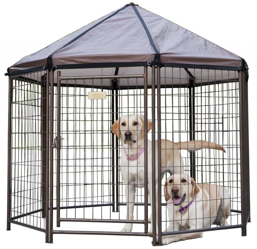 Outdoor Dog Kennels and Crates (January 2021 Review) | Dogsrecommend