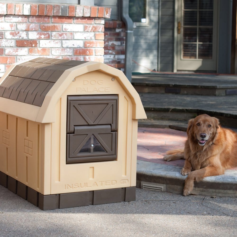 The Best Dog Houses in 2020 | Dogsrecommend