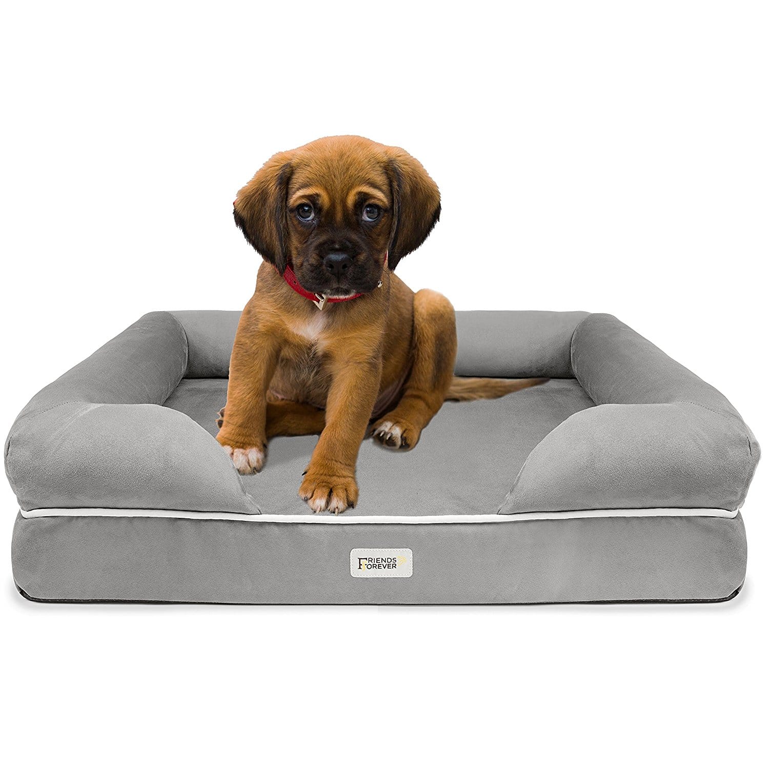Dog Beds (January 2021 Review) | Dogsrecommend