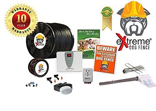 Invisible Dog Fences 2020: Ultimate Guide | Dogsrecommend