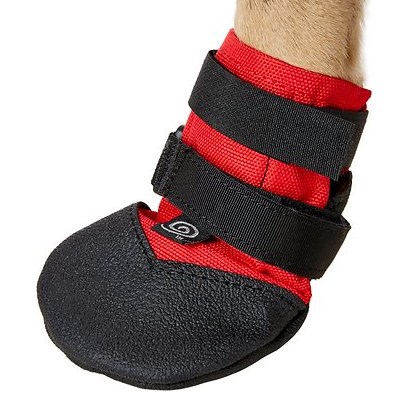 The Best Dog Shoes in 2019 | Dogs Recommend