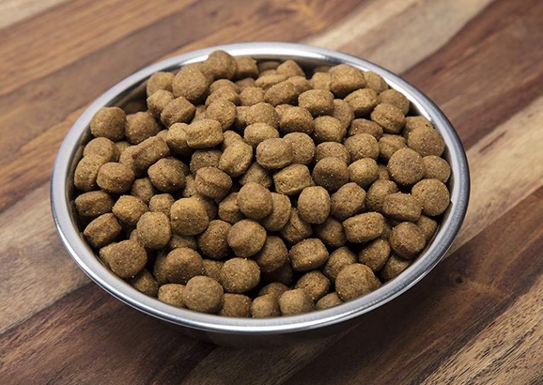 Best Cheap Dog Foods for 2021 | Dogsrecommend