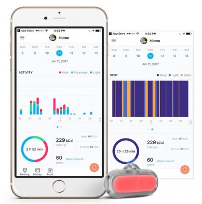 The Best GPS Dog Trackers and Pet Collars | Dogsrecommend