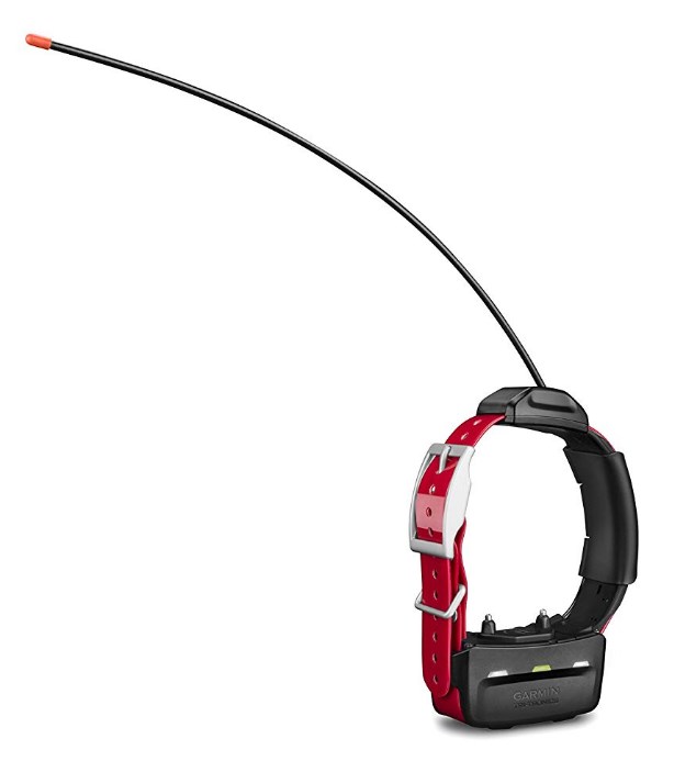 The Best GPS Dog Trackers and Pet Collars | Dogsrecommend