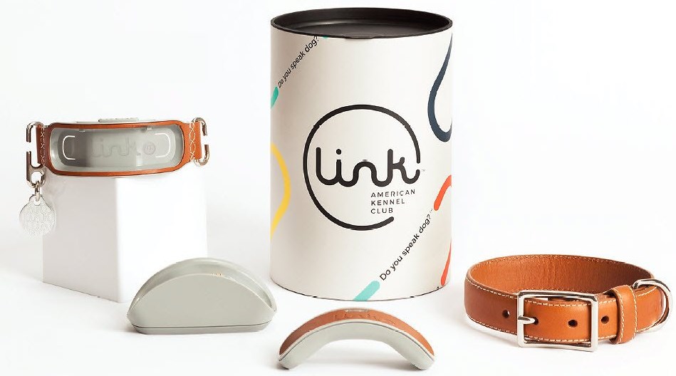 The Best GPS Dog Trackers and Pet Collars | Dogsrecommend