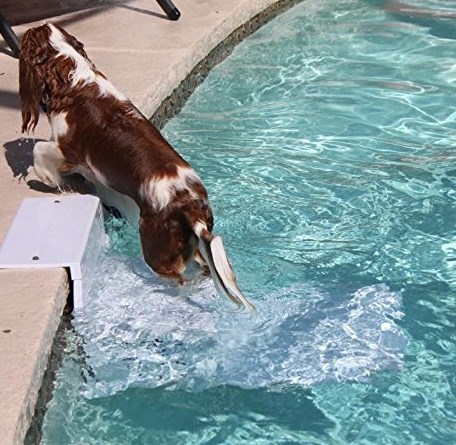 The 7 Best Dog Ramps and Stairs of 2020 | Dogsrecommend