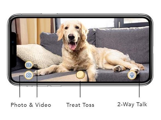 Best Pet Camera with Full HD & Treat Tossing | Dogsrecommend