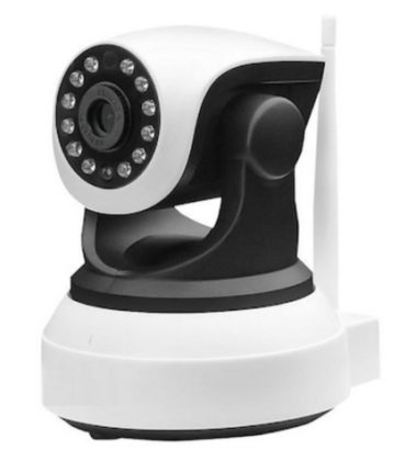 The Best Dog Camera of 2020: Guide & Reviews | Dogsrecommend