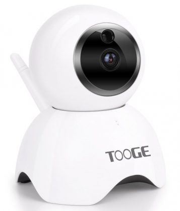 The Best Dog Camera of 2020: Guide & Reviews | Dogsrecommend