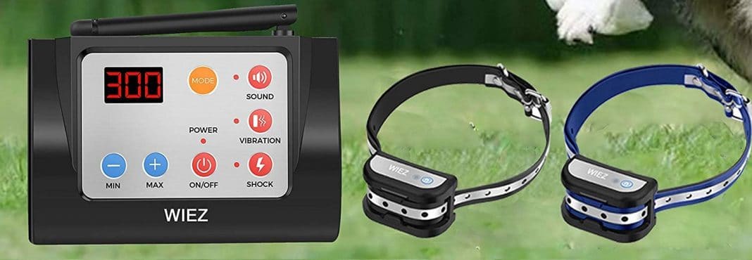 Invisible Dog Fences 2020: Ultimate Guide | Dogsrecommend