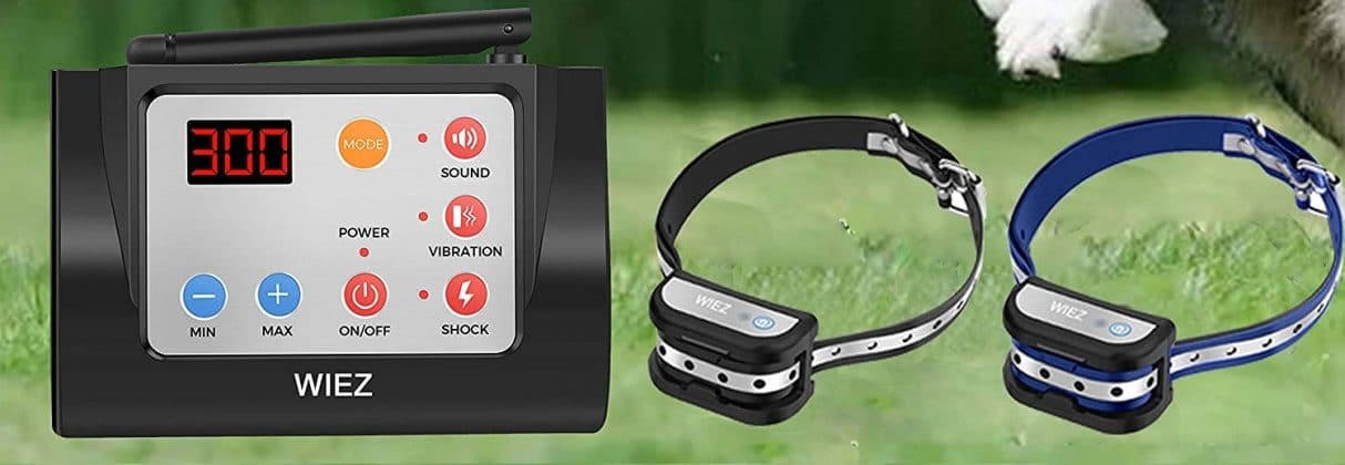 Invisible Dog Fences 2020: Ultimate Guide | Dogsrecommend