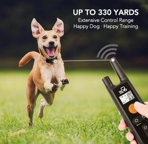 Dog Training Collars: The 7 Shock Collars For Dog Training | Dogsrecommend