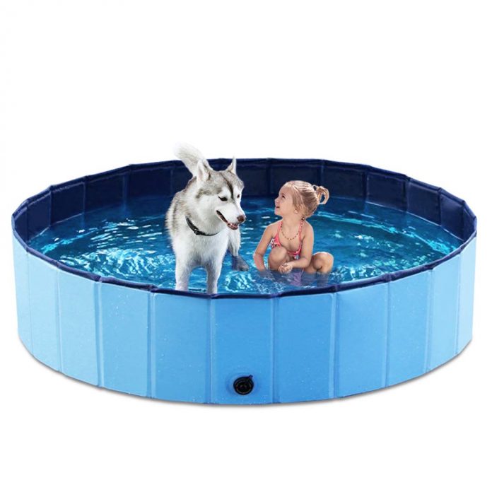 Best Swimming Pools For Dogs of 2021: Top 4 Choises | Dogsrecommend