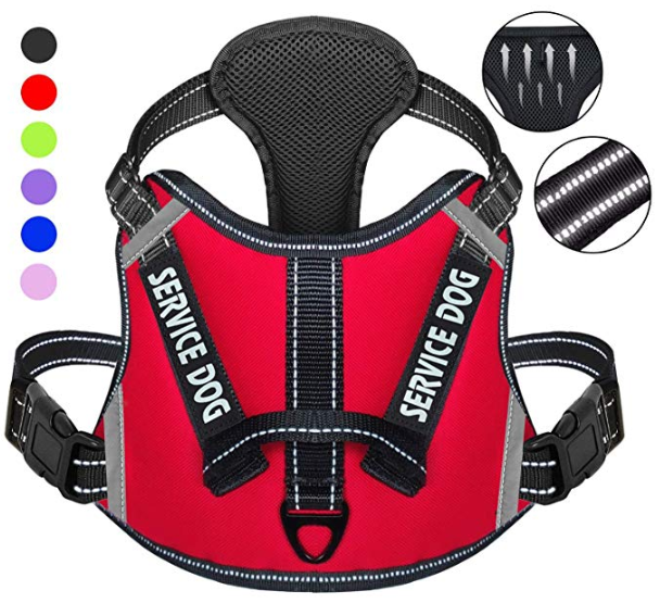 The Top 10 Service Dog Vest & Harnesses (Review) | Dogsrecommend