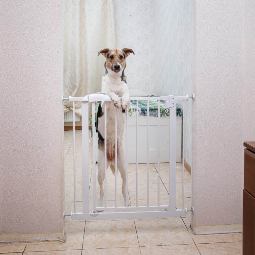 Indoor Dog Gates (January 2021 Review) | Dogsrecommend