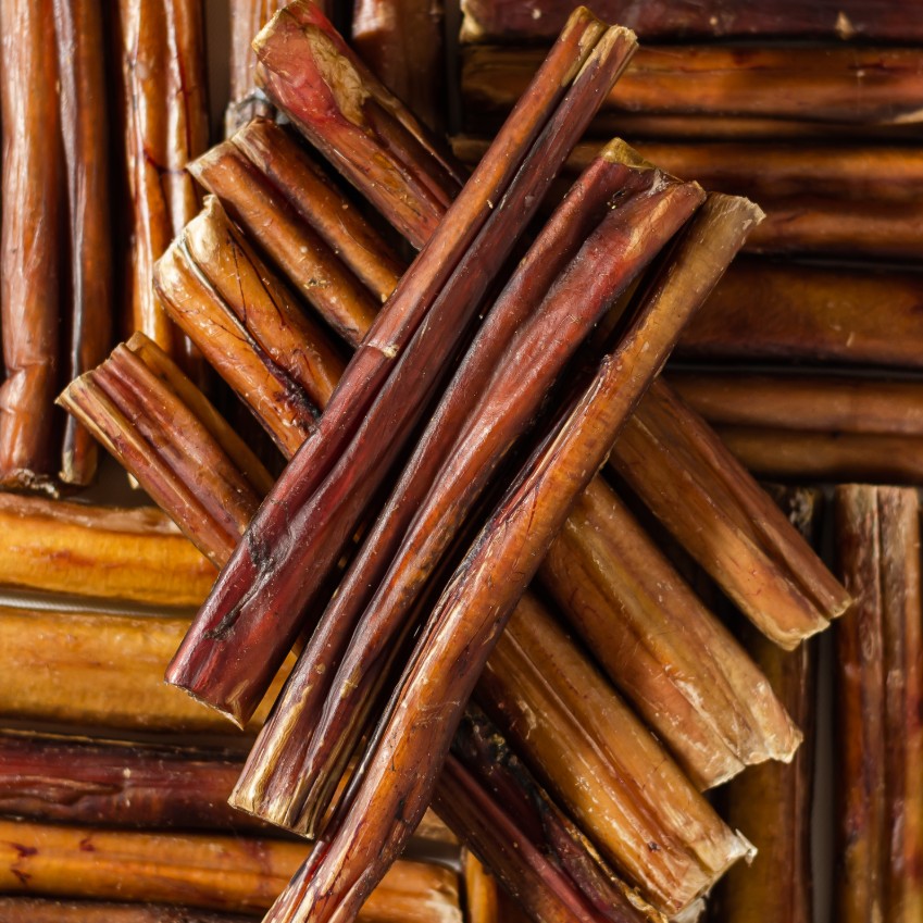 The 10 Best Bully Sticks For Dogs Review of 2020 | Dogsrecommend