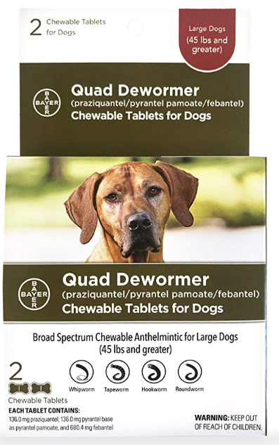 10 Best Dog Dewormers in 2021 Review | Dogsrecommend