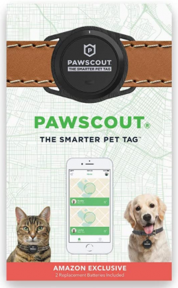The Best GPS Dog Trackers and Pet Collars | Dogsrecommend